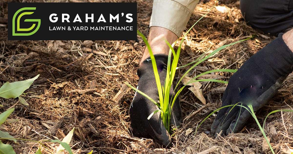 Gardening services Brisbane northside | Graham's